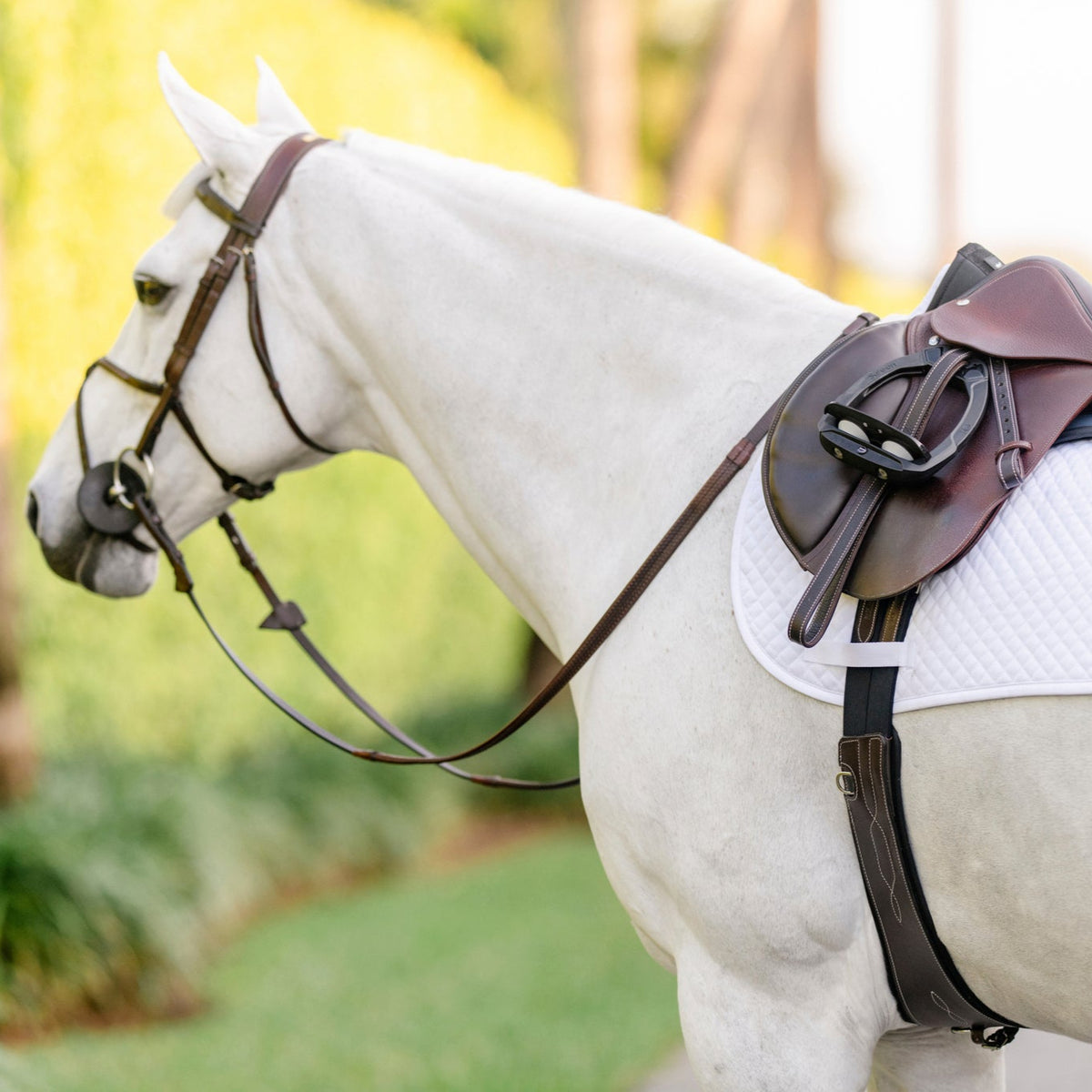 FquiFit Anatomical Jumper Girth with T-Foam – Pacific Saddlery